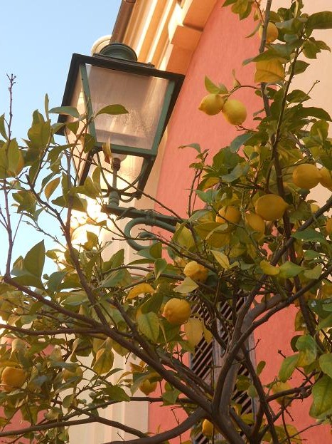 I limoni della principessa – Dear Miss Fletcher