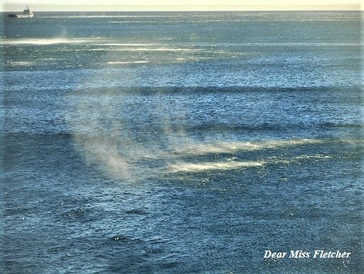 La danza del vento – Dear Miss Fletcher